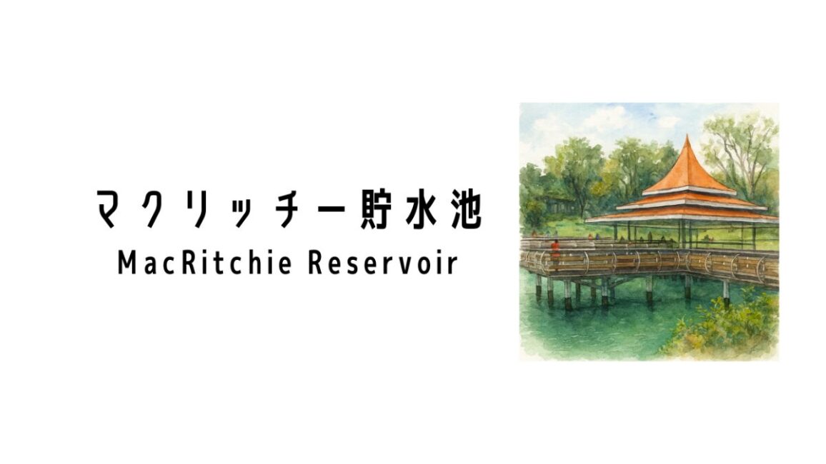 マクリッチー貯水池（MacRitchie Reservoir）ってどんな場所？ | ok lah